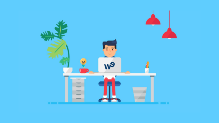 Content Manager ¿qué es y cuáles son sus funciones principales?